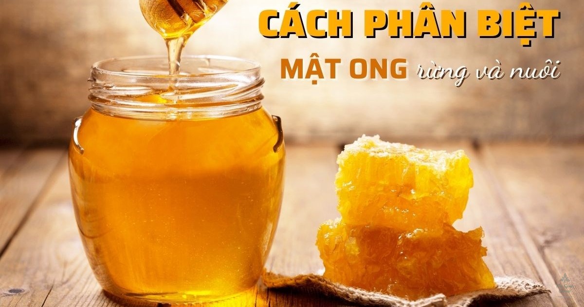 The Green Corner - Bật mí cách phân biệt mật ong rừng và mật ong thiên ...